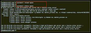 How To Restart Nginx On Linux Using The CLI NixCraft