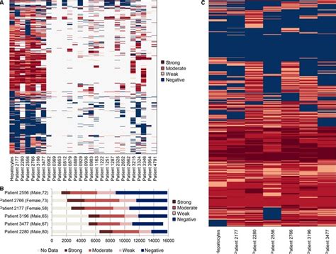 Proteomics Data For 27 Hcc Patientsclustering Of The Generated Download Scientific Diagram