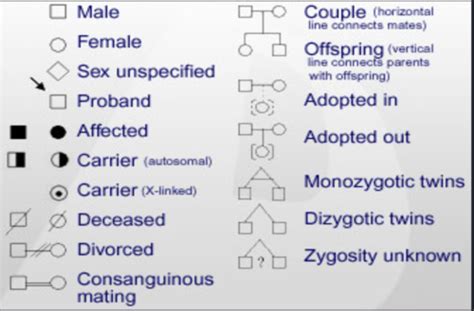 Biology Unit 6 Flashcards Quizlet