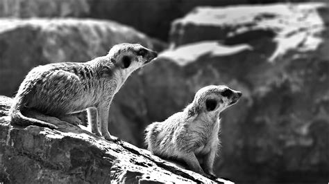 Eric Barbe Fotoclub Digitaal Zien