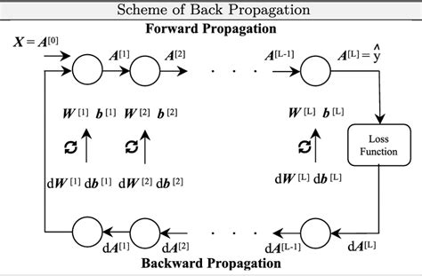 Example Of The Back Propagation Algorithm To Optimize The Loss Function