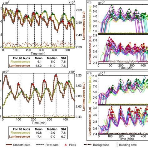 Fast Time Lapse Luminescence Microscopy In Budding Yeast Montage Of