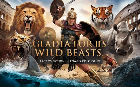 Gladiator Iis Wild Beasts Fact Vs Fiction In Romes Colosseum