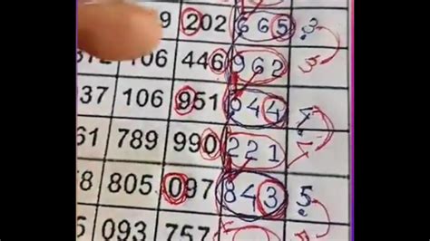 3d 16 12 2024 23ကြိမ်မြောက်အတွက် 1ထိပ် 3ဘရိတ်သြကွက်ကောင်း Youtube