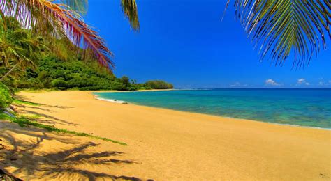 Cute Beach Wallpapers Wallpapers Com