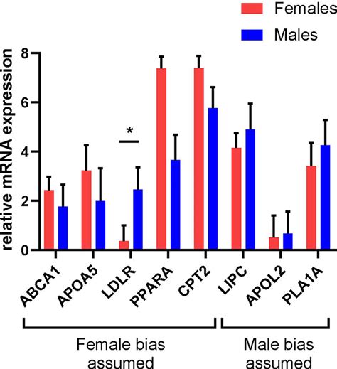 Sex Hormones Differently Regulate Lipid Metabolism Genes In Primary Human Hepatocytes Pmc