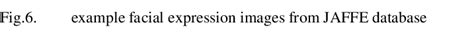 Example Facial Expression Images From Jaffe Database Download Scientific Diagram