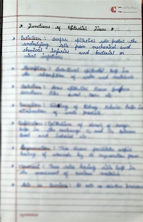 SOLUTION Epithelial Tissue With Diagrams Studypool