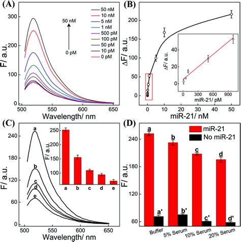 A Dnazyme Amplified Dna Circuit For Highly Accurate Microrna Detection And Intracellular Imaging