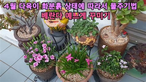 다육이♡ 4월 다육이 화분흙 상태에 따라서 물주기💓 예쁜 베란다 꾸미기💓 Youtube