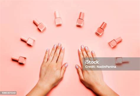 유행 생활 산호 배경에 트렌디한 세련 된 매니큐어와 아름 다운 여성 손 2019년에 대한 스톡 사진 및 기타 이미지 2019년 건강한 생활방식 껍질 Istock