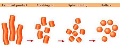 Figure 6 From An Overview Of Pelletization Techniques Used In Multiparticulate Drug Delivery