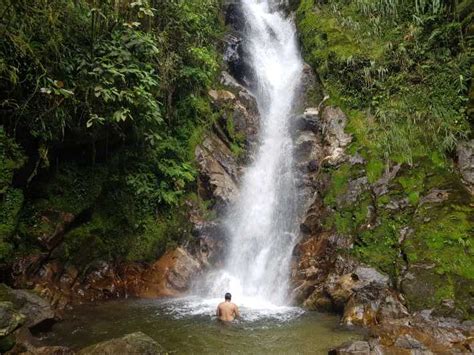 Van Medellin Begeleide Wandeltocht In De Natuur Getyourguide