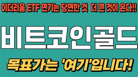 코인 비트코인골드 비트코인골드 코인분석 목표가 도달을 위한 전략 공개 Youtube
