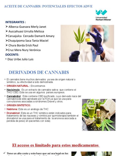 Aceite De Cannabis Pdf
