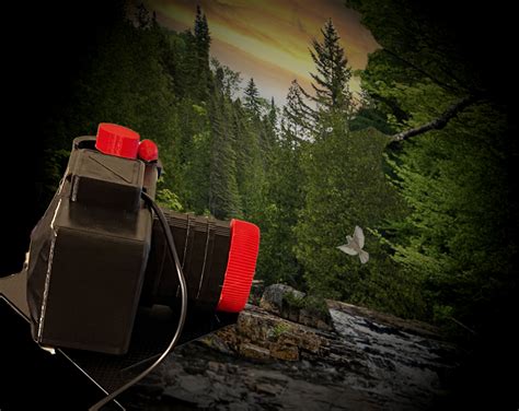 simple birding sim with alt ctrl by royyang