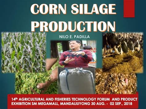 Corn Silage Production Nilo Padilla Pdf