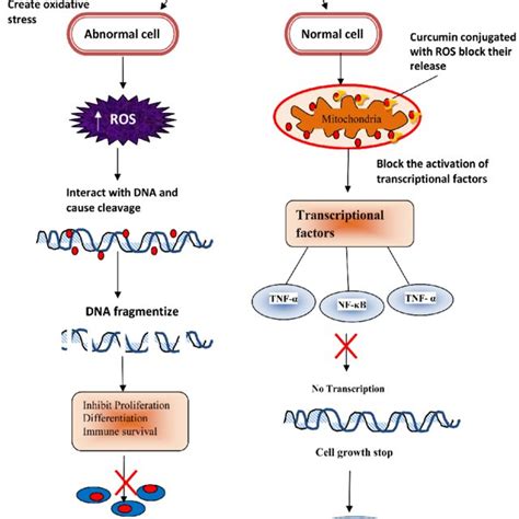 Different Types Of Leukemia And Their Attributes Download Table