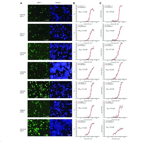 Opera Confocal Images A Dose Response Curve B And Lethality Download Scientific Diagram