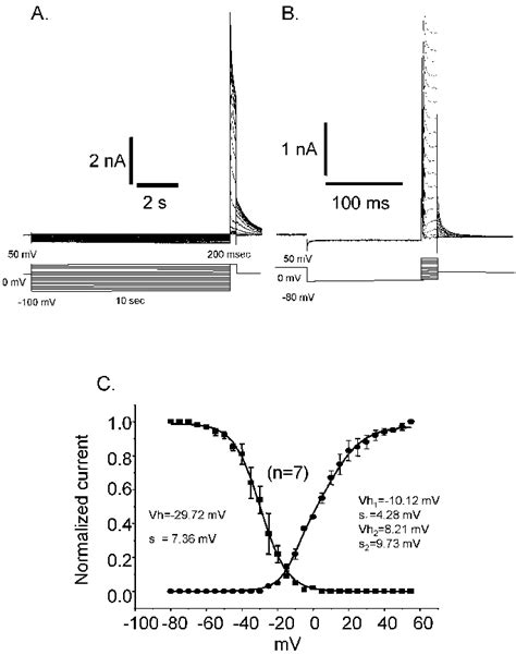 Steady State Inactivation And Activation Curves A Current Traces Of Download Scientific