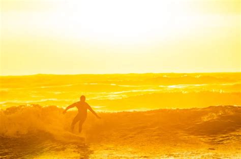 How To Interpret Dexa Scan Results