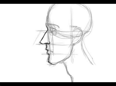 How To Draw Face In Profile Thoughtit20