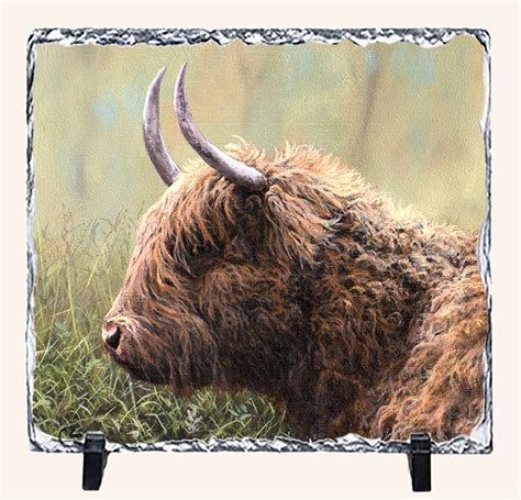 Wildlife Slate Highland Cow Craig Long Gallery