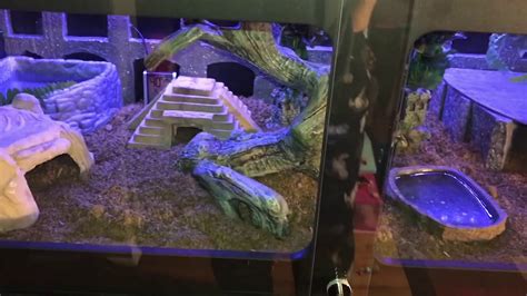 Plastic Ball Python Enclosure At Logan Newbigin Blog