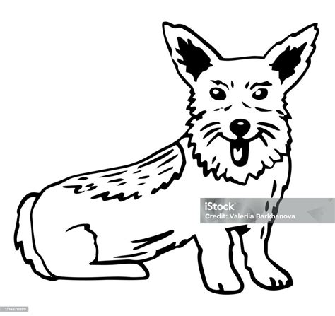 귀여운 웨일스 어 코기 재미있는 벡터 일러스트레이션 장식과 디자인을위한 강아지의 초상화 낙서 손 그리기 가축에 대한 스톡 벡터