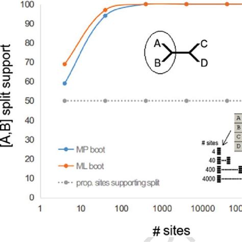 An Illustration Of Incomplete Lineage Sorting Problem The History Of A Download Scientific