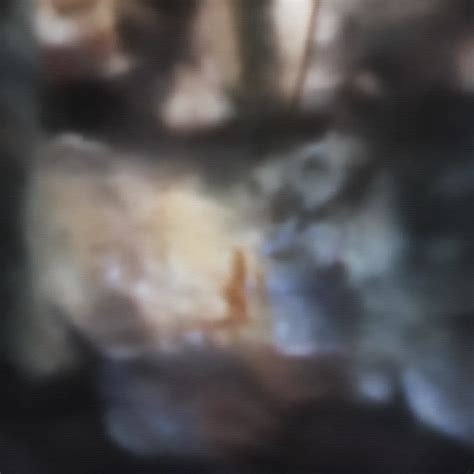 Preventing Animal Extinction Strategies And Implications