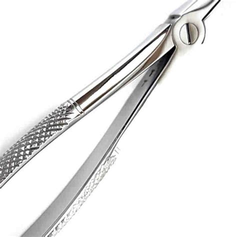 High Quality Dental Products Endodontic Forceps Hospital Tooth Forceps