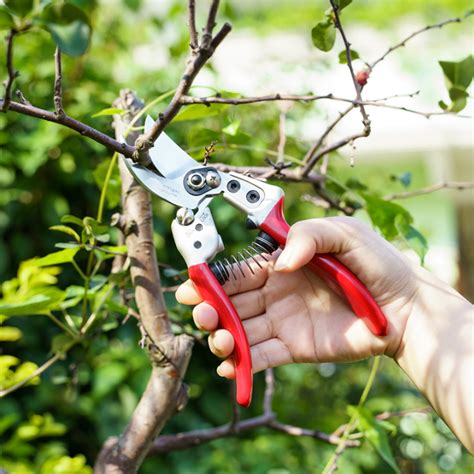 日本进口kamaki剪刀修枝剪果树剪刀多功能家用省力树枝剪子虎窝淘 日本进口kamaki剪刀修枝剪果树剪刀多功能家用省力树枝剪子虎窝淘