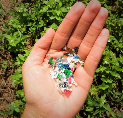 Microplastics Small Plastics Big Problem Home And Garden Information