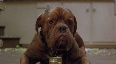 Picture Of Turner And Hooch