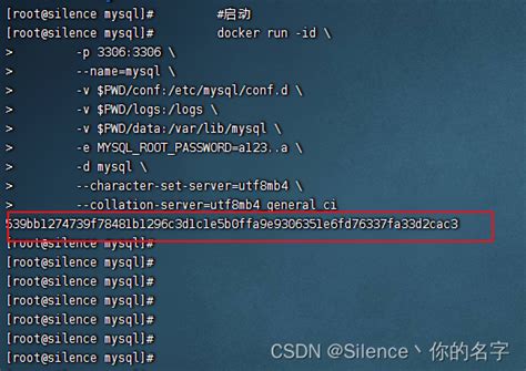 Docker安装mysql并使用navicat连接使用docker安装mysql并且通过navicat成功连接mysql Csdn博客