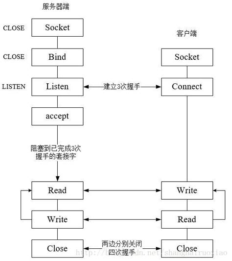 Tcpip7 Tcp Server与tcp Clientlinux套接字 Csdn博客