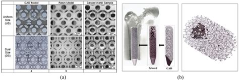 Foam Structure A Uniform Size And Dual Size B For Human Tissue