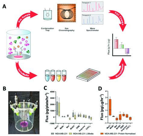 Direct Volatile Sampling Of Cellular Headspace A Schematic Overview