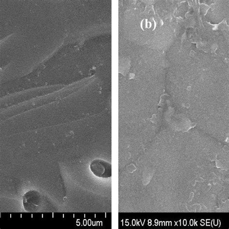 The Microstructure Of A Cross Sectional Electrolyte And B Surface