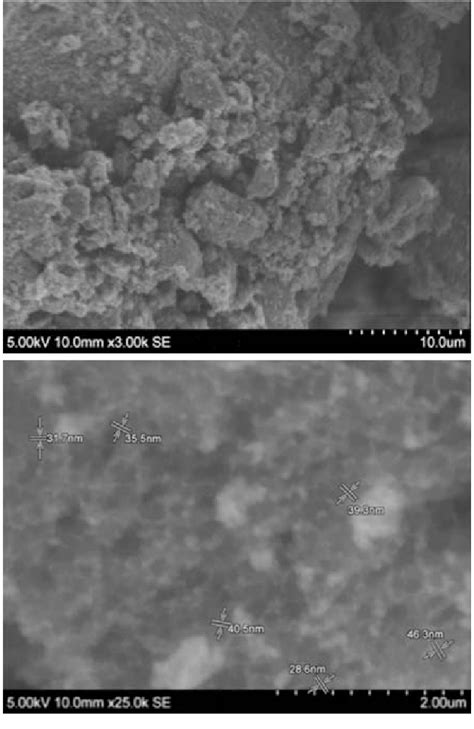 Scanning Electron Micrographs Of Tio 2 Download Scientific Diagram