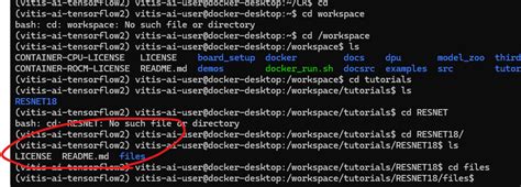 Vitis Ai Flow On The Cnn Model