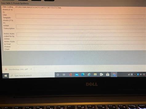Solved Data Table 1 Protein Synthesis Dna Coding