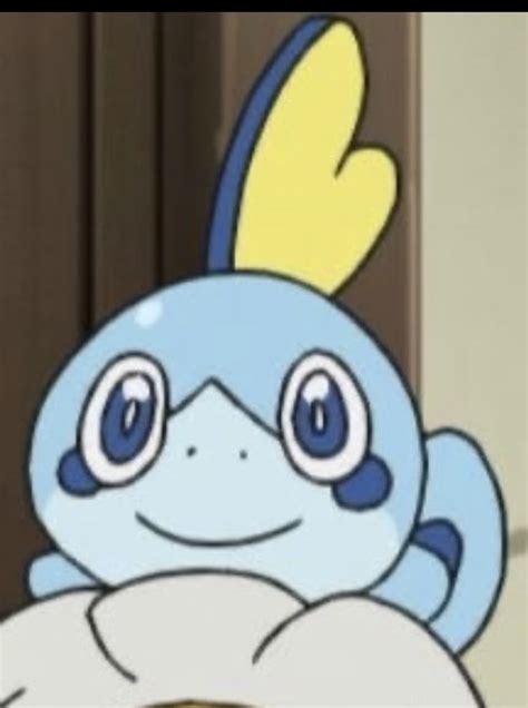 816 Sobble Screenshot Pokemon Cute Pokemon Anime