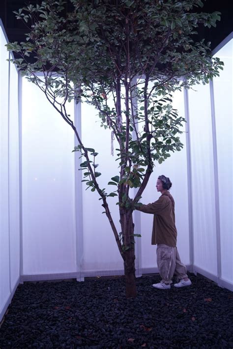 Superimpose Creates Co2 Pavilion As Inner City Sanctuary In Beijing