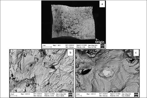 Fracture Surface A Origin Area B And Fatigue Zone C Of The
