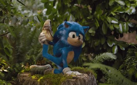 Oreo Maddie And Sonic Maddie And Sonic Maddie And Sonic