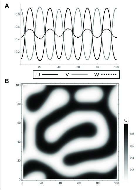 Turing Pattern Obtained By A Reaction Diffusion Model In Eqs 1 2