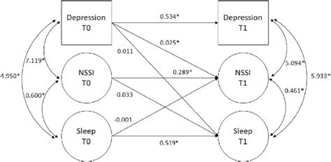 Sem For Log Transformed Number Of Nssi Oriented On Symbology Of Semplot