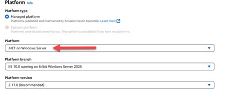 How To Use Persistent Storage With Aws Elastic Beanstalk Windows